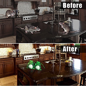 8 Pack Rodent Repellent Peppermint Oil to Repels Mice and Rats and Other Rodents, Mouse Repellent for Car Engines to Keep Mice Out, Rat Repellent for Home Farm Basements Barns Sheds Garages RV Trucks