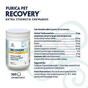 PURICA - Pet Recovery Extra Strength - Dog Supplement - Glucosamine Chews for Large & Small Breed Dogs - Hip & Joint Support - 360 Count (Pack of 1)