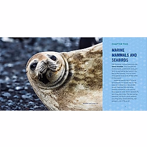 Ocean Animals for Kids: A Junior Scientist's Guide to Whales, Sharks, and Other Marine Life