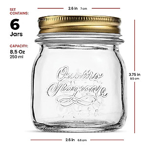 Bormioli Rocco Quattro Stagioni Set of 6 Clear Airtight Mason Jars, 8.5 Oz. Made from Food Safe Durable Glass, Made in Italy.