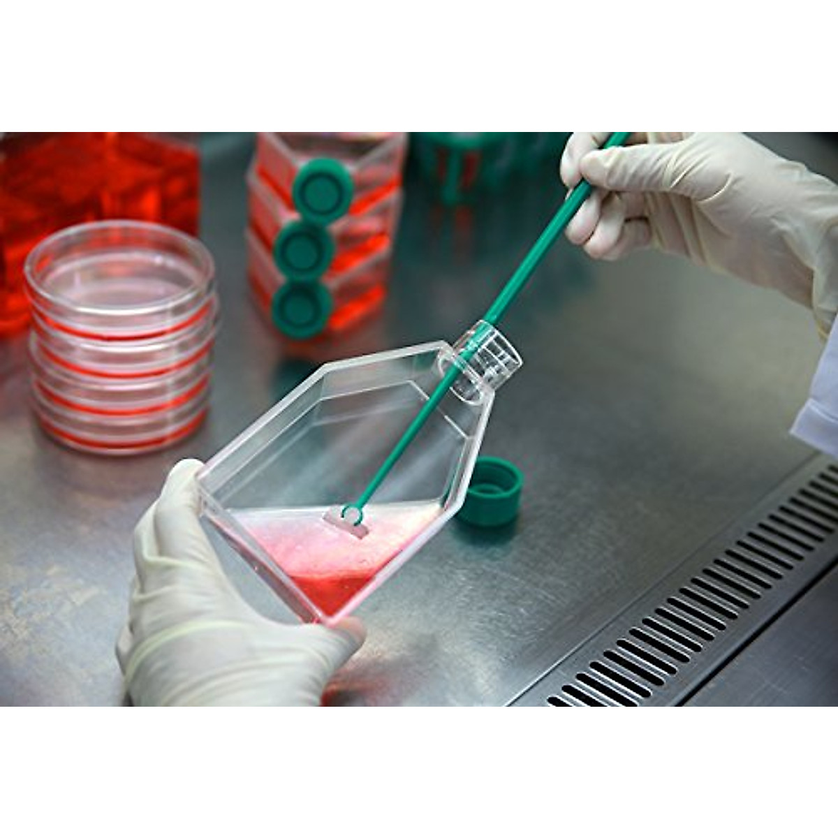 SPL Cell Culture Flask 175 cm2 (T175) Filter Cap, Treated, Sterile 40/Case