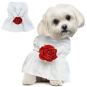 FUAMEY Dog Wedding Dress,Pet Costumes Evening Dresses Tutu Shirts,Puppy Girl Bride Skirt Holding Flowers Clothing,Fancy Luxury Rose Lace Dog Cat Bridesmaid Attire,Pet Sweet Formal Apparel Outfit White