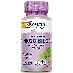 SOLARAY One Daily Ginkgo Biloba Leaf Extract | Healthy Blood Circulation, Memory & Brain Function Support (60 VegCaps)