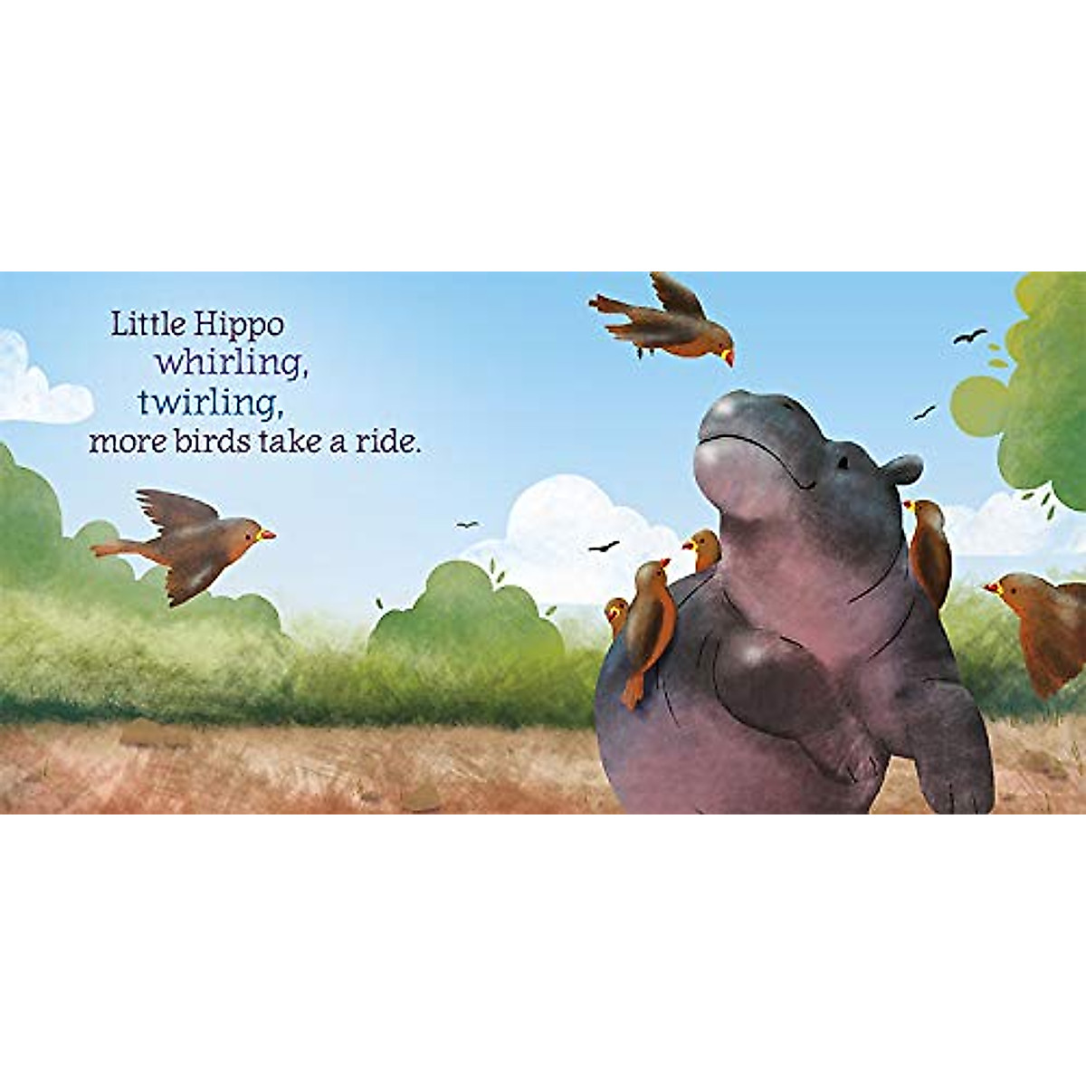 Little Hippo (Little Animal Friends)