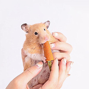 Eyomii Small Pet Molar Supplies Hamster Treats Rabbit Chew Toys Small Animal Chew Carrots All Natural Nutritious Molar Toys for Rabbit/Hamster/Guinea Pigs