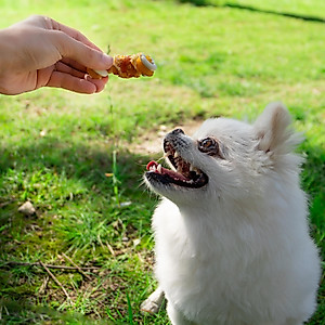 MON2SUN 2.5" Rawhide Free Dog Treats with Mixed Vegetables, Chicken Wrapped Mini Knot Bones for Small Dogs, Healthy Dog Snacks for Balanced Nutrition, 21.2oz