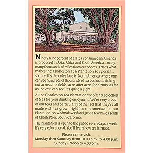 Peachy Peach Pyramid Teabags, 12 Count, 1.05 Ounce (04358)