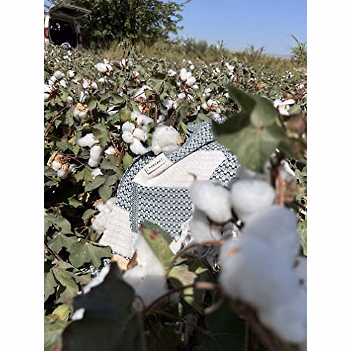 Aegean Concept Blanket, Vintage Boho Rustic 100% Cotton Super Soft 90"x102" (230 cm x 260 cm) King Size, Adult Turkish Muslin Light Bedcover Bedspread King Blankets, (Dark Green)