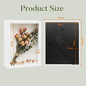 Shadow Box Frame Display Cases 8x10 - 3 Pack Deep Shadowbox Picture Frame with Galss 3D Display Wood Shadow Box Frame with Line Board