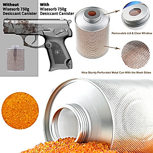 Wisesorb 750 Grams Gun Safe Dehumidifier, Reusable Canister Desiccant Dehumidifier, Rechargeable 1.65 Lbs Indicating Silica Gel Orange to Green, Pack of 1
