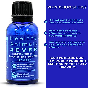 Healthy Animals 4Ever All-Natural Dog Calming Tablets for Stress and Aggressive Behavior - Help Reduce Dog Aggression/Frustration & Promote Relaxation - Homeopathic & Highly Effective - 300 Tablets