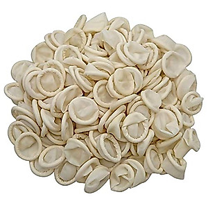 Medium Latex Finger Cots Anti Static Rubber Fingertip Protective Finger Cots for Electronic Repair, Handmade Apply, 444 Pcs