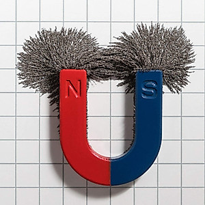 SPACECARE Magnetic Iron Powder Filings for Magnet Education and School Projects, 2 Storages Jar (12 Ounces X 2) with Shaker Lids, 2 Pack