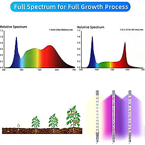 Seed Starter Tray, 80 Cells Seed Starter Kit with 360°Full Spectrum Grow Lights for Seed Starting, 72 LED Height-Adjustable Seed Starting Lights, Timable,Germination Tray with Humidity Control Domes