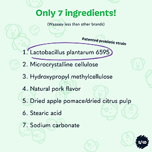 Minimal Ingredient Dog Probiotic to Alleviate Allergies, Infections, ‘n’ Digestive Issues
