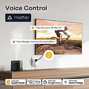 Linkind Matter Smart Plug, Work with Apple Home, Siri, Alexa, Google Home, SmartThings, Smart Outlet 15A/1800W Max, Smart Home Automation with Remote Control,Timer&Schedule, 2.4G Wi-Fi Only, 2 Pack