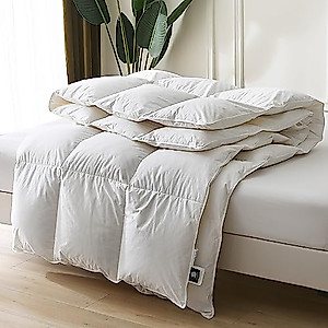 BPC Queen Size Down Comforter - Goose Duck All Season Down Comforter with Filling Down and Feather and Cotton Cover - Duvet Insert or Stand-Alone Down Comforter