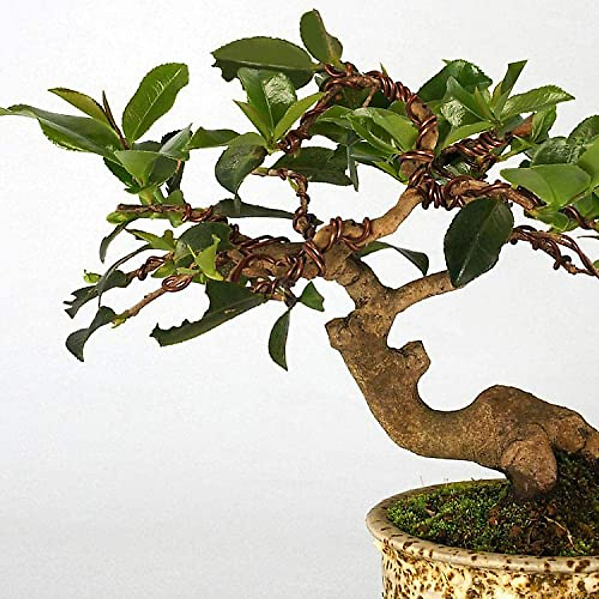 20 PCS Round Bonsai Pot Bottom Grid Mat Mesh, Airlxf Flower Pot Hole Mesh Pad for Bonsai Pot Mesh Drainage Screens Prevent Soil with 3 Roll Anodized Aluminum Wire Soft for DIY Jewelry Craft Making