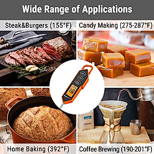 ThermoPro TP01H Digital Meat Thermometer with Long Probe, Food Thermometer for Cooking, Candy, Smoker, Oil, Grilling and BBQ, Instant Read Thermometer with Backlit & Lock Function