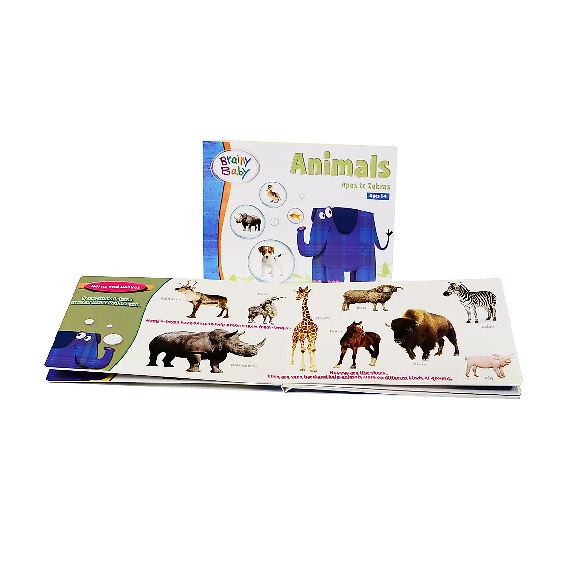 Brainy Baby Animals Board Book Apes to Zebras Deluxe Edition