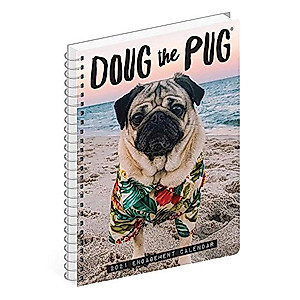 Doug the Pug 2021 Engagement Calendar (Dog Breed Calendar)