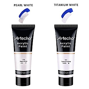 Artecho Professional Acrylic Paint, Titanium White ( 120ml / 4.05oz ) Tubes, Art Craft Paints for Canvas Painting, Rock, Stone, Wood, Fabric, Art Supplies for Professional Artists, Adults, Students, Kids