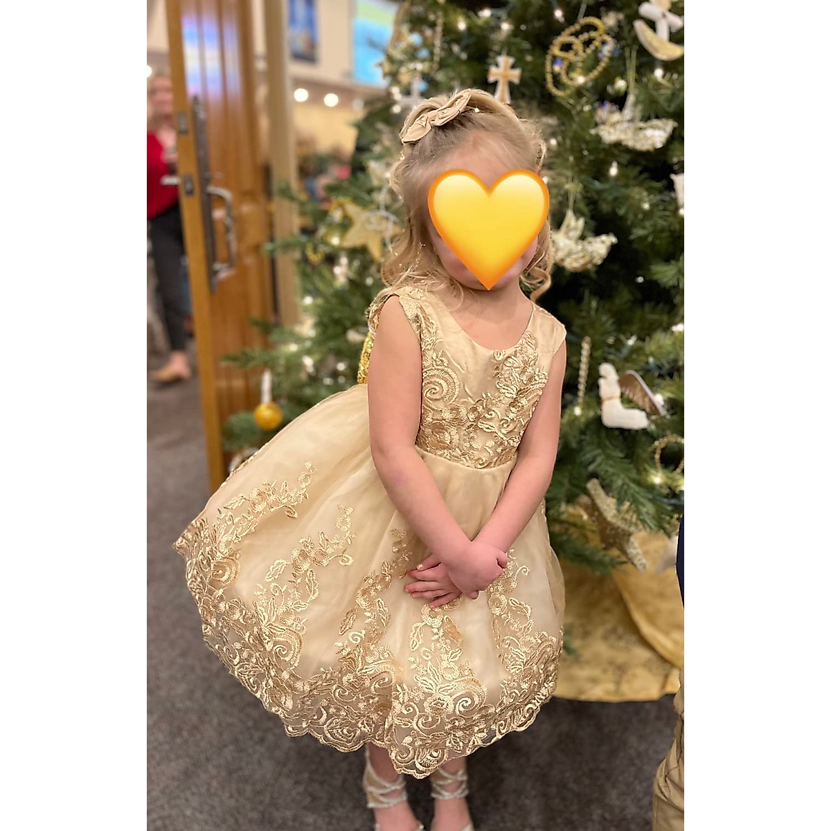 Christening Embroidery Lace Birthday Christmas Easter Flower Baby Girl Dress Princess Formal Prom Tutu Ball Gown 3M Gold B 60