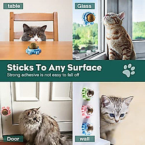 Catnip Ball Toy for Cats Wall 4 Pack Cat Nips Organic Ball Edible Kitten Toys Interactive Cat Lick Chew Toy Indoor Cat Toy Treats for Cat Teeth Cleaning Relieve Cat Anxiety