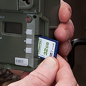 Moultrie SD Memory Card, 32GB, White (MCA-12603)