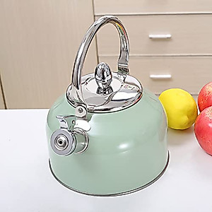 Fast Boiling Whistling Teapot for Stove top, Ultralight Tea Kettle Stainless Steel 3L Water Kettles with Heat Resistant Ergonomic Handle for Outdoor / Home Kitchen, Green, (FL1002)