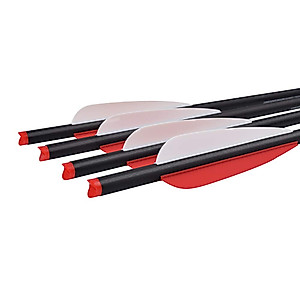 Carbon Crossbow Bolts 20 Inch Hunting Archery Arrows with 4" Vanes Replaced Arrowhead Tip (Pack of 12)