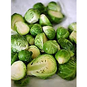 Brussel Sprouts Seed, Churchill, Heirloom, Non GMO, 25+ Seeds, Early Sprouting, COUNTRY CREEK ACRES
