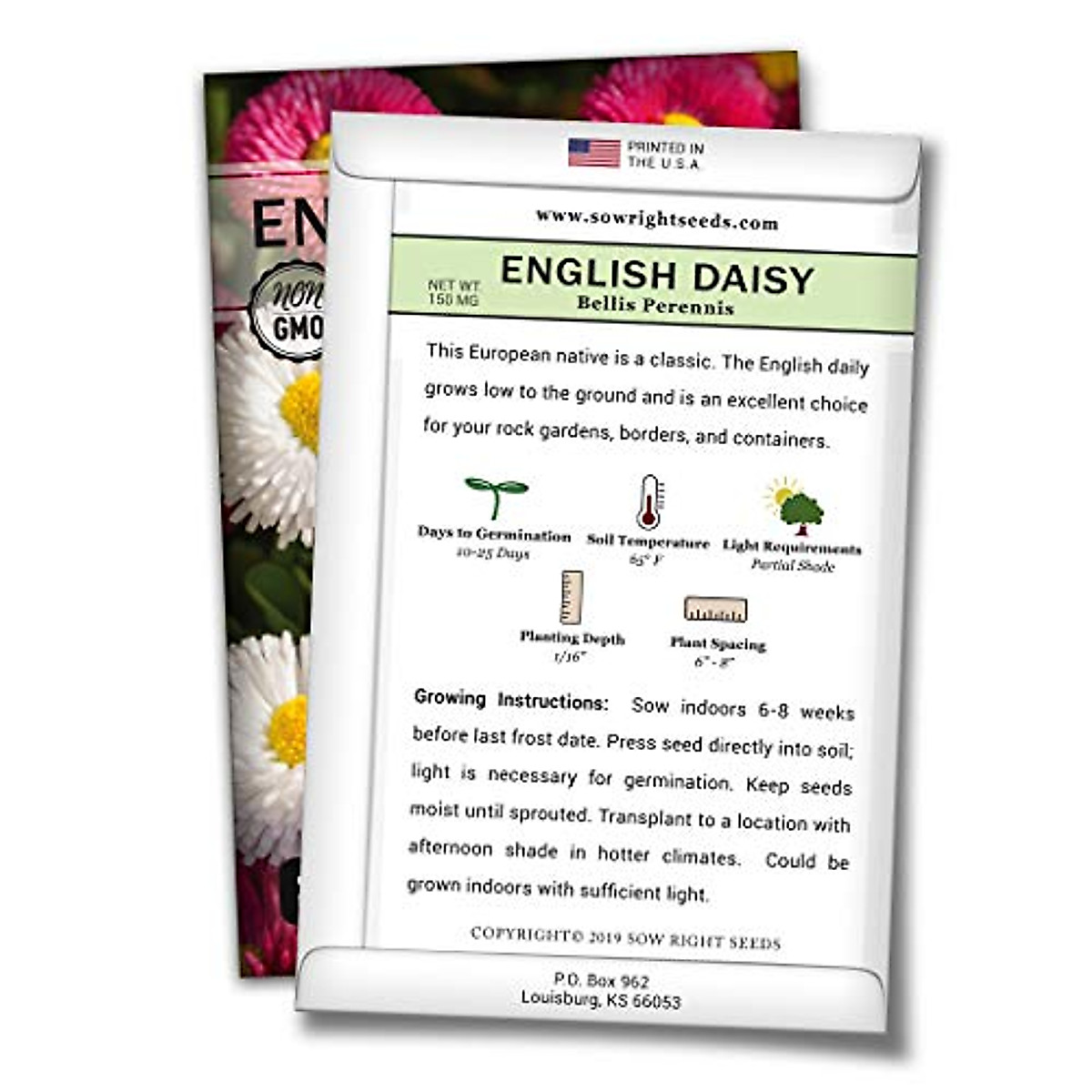 Sow Right Seeds - English Daisy Flower Seeds for Planting, Beautiful Flowers to Plant in Your Garden; Non-GMO Heirloom Seeds; Wonderful Gardening Gifts (1)