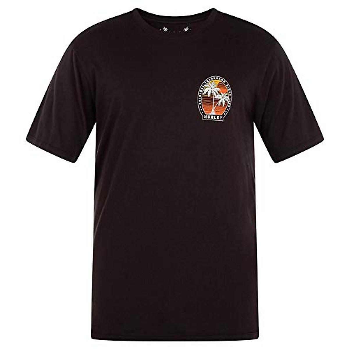 Hurley Men's Everyday Washed Graphic T-Shirt