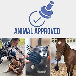 Curry on a Stik' - Dog Brush for Shedding, Grooming, Bathing, & Therapeutic Massage Tool - For Long & Short Haired Dogs - Decreases Shedding & Increases Coat Health - Veterinarian Approved - Ergonomic