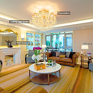 Vannise G9 40W Bulb-5 Pack Long Lasting JCD G9 120V 40W, Halogen Bulbs 2 Pin G9 Dimmable with 2800K Warm White, High Output G9 Bulb with G9 Base, G9 Light Bulb 40W for Chandelier,Range Hood Light