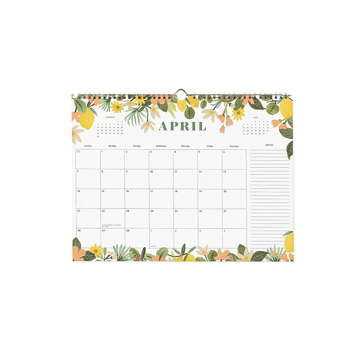 RIFLE PAPER CO. 2024 Appointment Calendar | 12 Month Dated Calendar, Space for Daily Engagement and Monthly Notes, Double Spiral with Center Notch for Easy Hanging (12" L x 16" W), Blossom