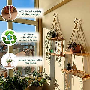 Hanging Shelves for Wall, Hanging Plant Shelf, Wooden Boho Shelves for Fall Bedroom Decor, Floating Rope Shelves Boho Wall Hanging Decor Living Room Wall Shelfs, Small Hanging Wall Shelves Bathroom