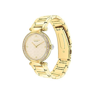Coach Cary Women's Watch | Premium Fashion Timepiece for Her - Perfect for Day and Night | Water Resistant (Model 14504183)