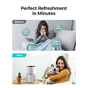 Homvana H201 Air Purifier Replacement Filter, 3-in-1 True HEPA, High-Efficiency Activated Carbon 1 Pack