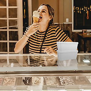 Hemoton Lunch Box Containers Ice Cream Container Reusable Ice Cream Tub Containers Freezer Storage Tubs Dessert Containers with Lids for Homemade Ice Cream Sorbet and Freezer 3l Food Containers