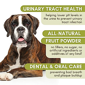 Wholistic Pet Organics WholeCran Intense: Organic Cranberry Powder for Dogs Urinary Tract Support Kidney Support for Dogs UTI Treatment Vitamin C and Antioxidants Dog Incontinence Product
