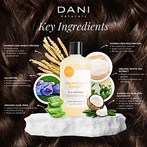 DANI Natural Moisturizing Shampoo Naturals - Invigorating Grapefruit Ginger Scent - Organic Aloe Vera & Coconut Cleansers - Sulfate, Phthalate & Paraben Free - For Men & Women - 12 Ounces
