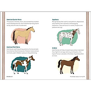 Horse Life: The Ultimate Guide to Caring for and Riding Horses for Kids