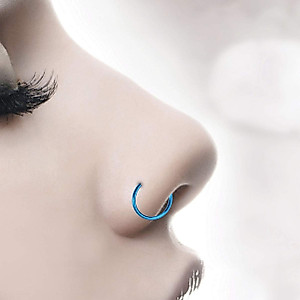 Generic 2 Pcs Unisex Surgical Steel Hinged Clicker Segment Nose Rings Hoop Helix Cartilage Earrings Titanium Steel Body Piercing Stud, Blue, 0.8 * 0.8 * 0.1 cm, WCXMI043160DZ16O2