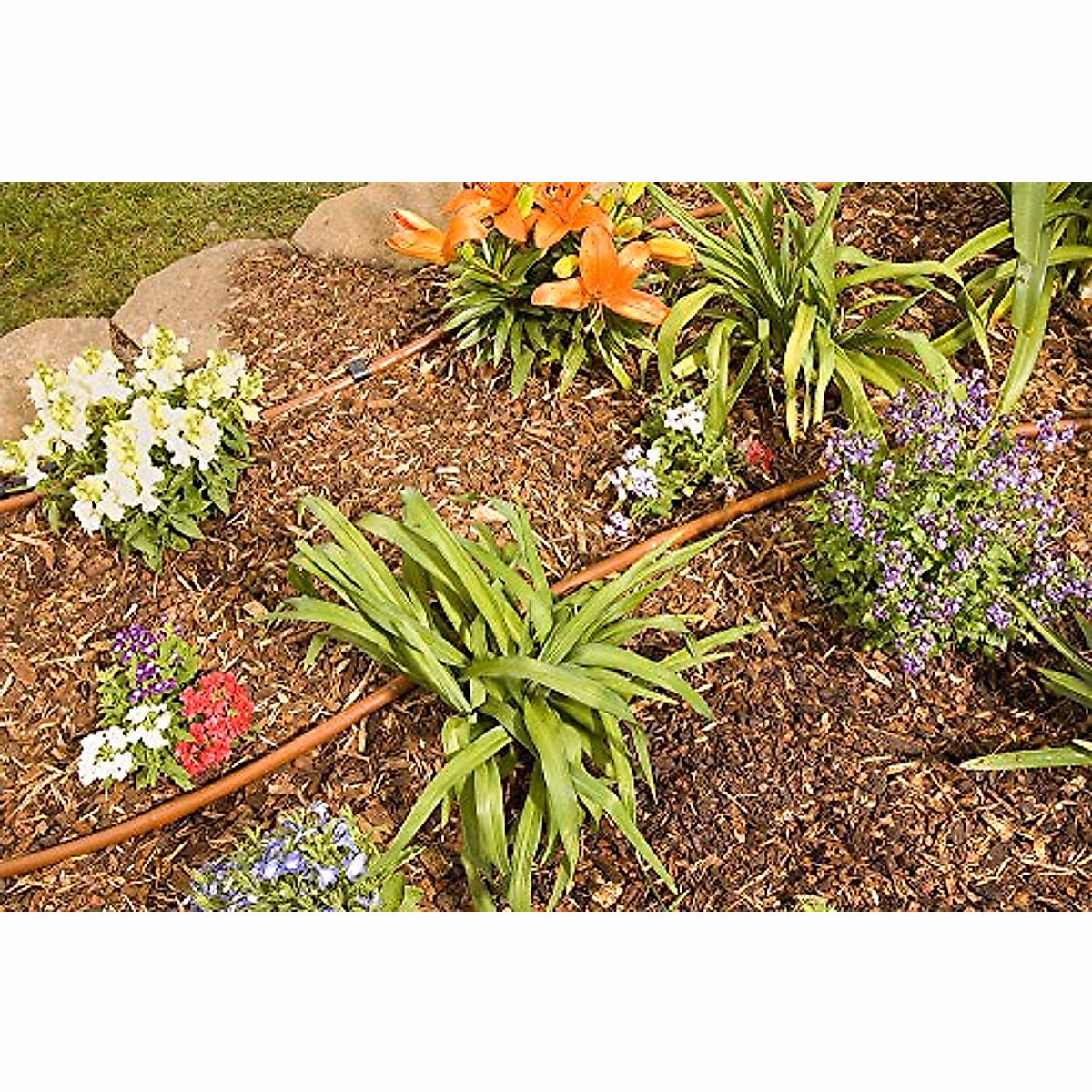 (20-Pack) Drip Irrigation Brown Barbed Adapter Coupling Fittings - Fits 1/2” Inch, 17mm .600” ID Drip Tubing - Made In The USA (1/2" Inch Adapter Coupling 10 Pack)