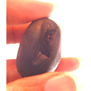 phoenix888 Adwaitya Dashavatar Shaligram Nepal Kali Gandaki