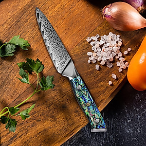 SENKEN Damascus Steel 3.5" Paring Knife with Real Deep-Sea Abalone Shell Handle - Damascus Peeling Knife - 67-Layer Japanese VG10 Forged Steel Blade, Integrated Full-Tang Molding (3.5" Paring Knife)