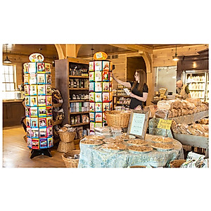 SHADE TREE GREETINGS Funny Women's Birthday Greeting Card (5" x 7") by Ann Scott Design | 3 Pack + 3 Envelopes (Purses)