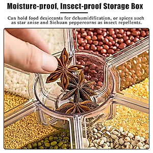 Rotating Grain Dry Food Dispenser Countertop - 6 Grids Cereal Tank for Lentils, Rice, Beans - Transparent Kitchen Pantry Storage Container, 360° Rotatable Design, Max 22 lbs Capacity, White - PET+PP